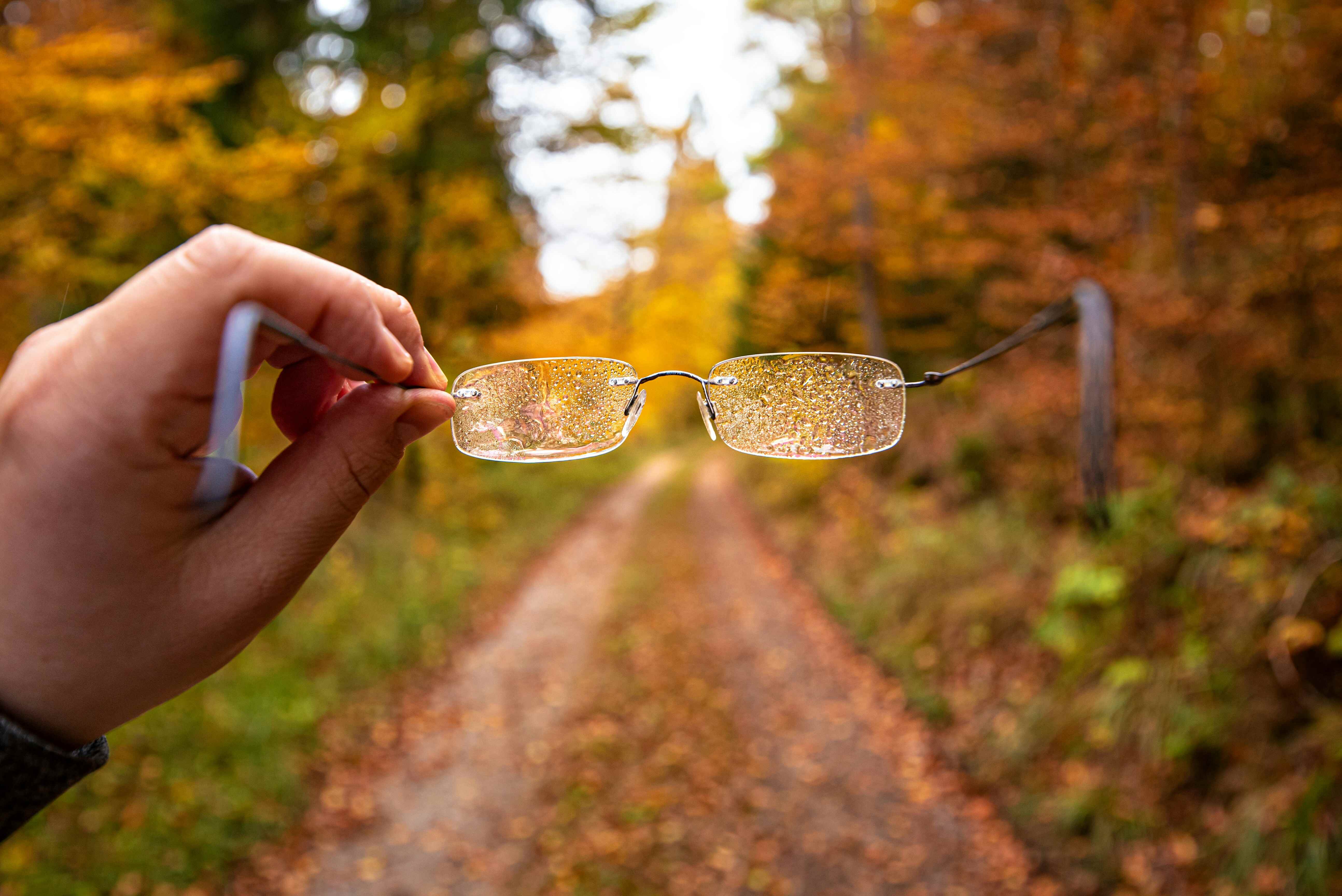 Role of Diet in Myopia Prevention and Management | How to Cure Myopia